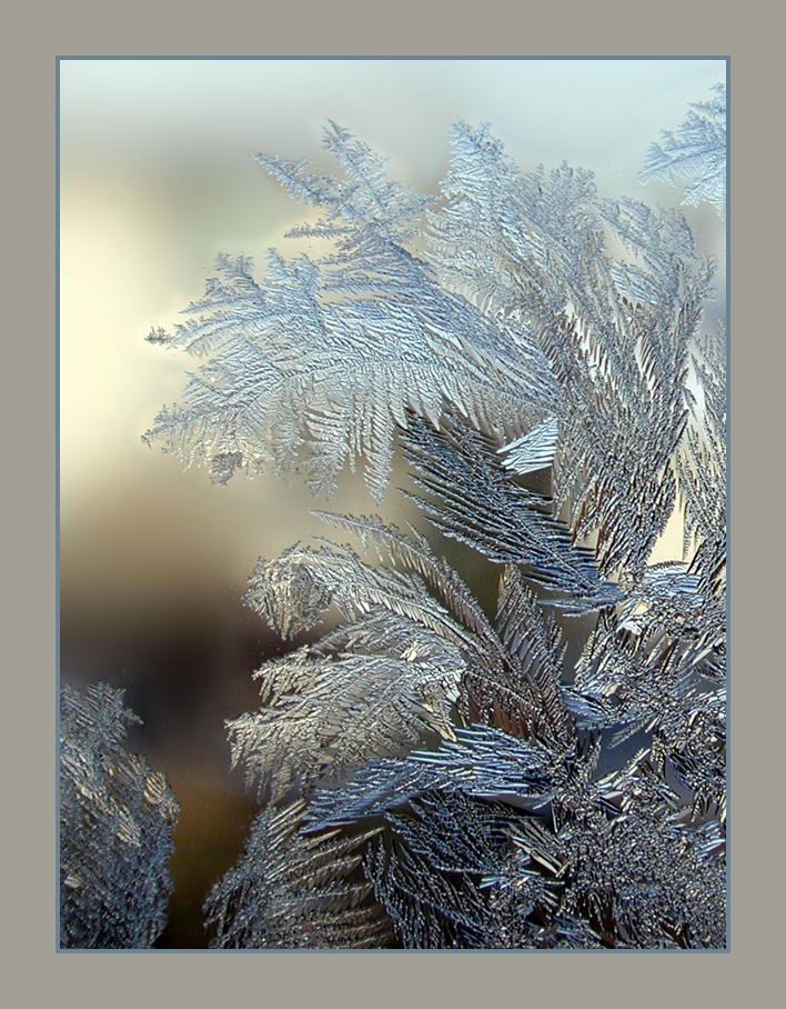 Frost Macro Photography by Judy Arndt