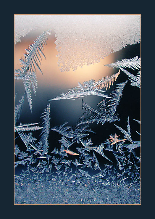 Frost Macro Photography by Judy Arndt