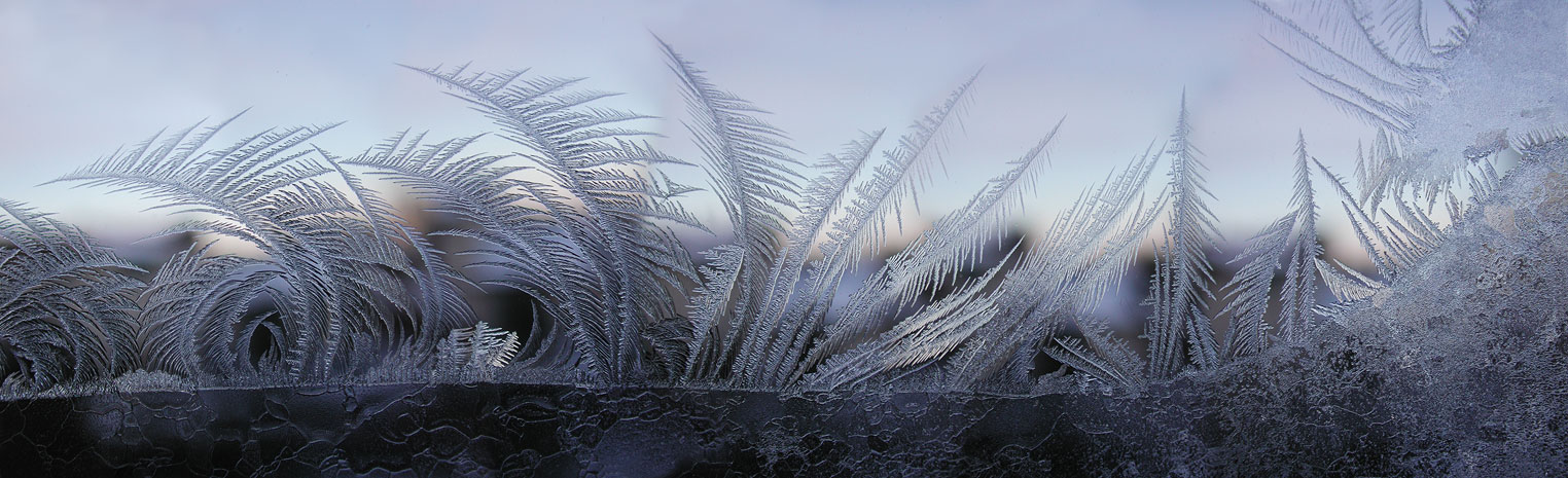 Frost Macro Photography by Judy Arndt